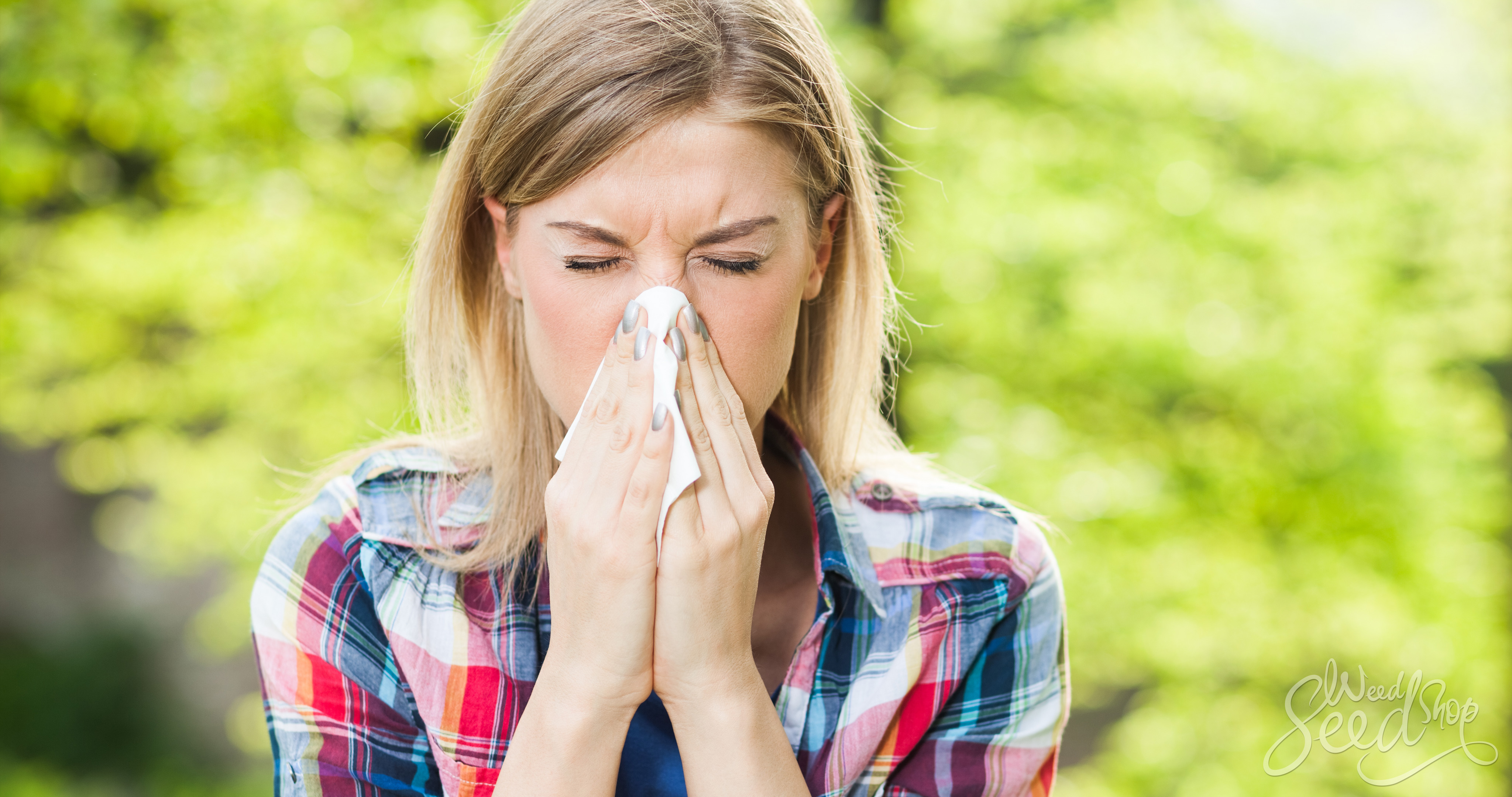 Kannst Du Eine Cannabis Allergie Haben WeedSeedShop