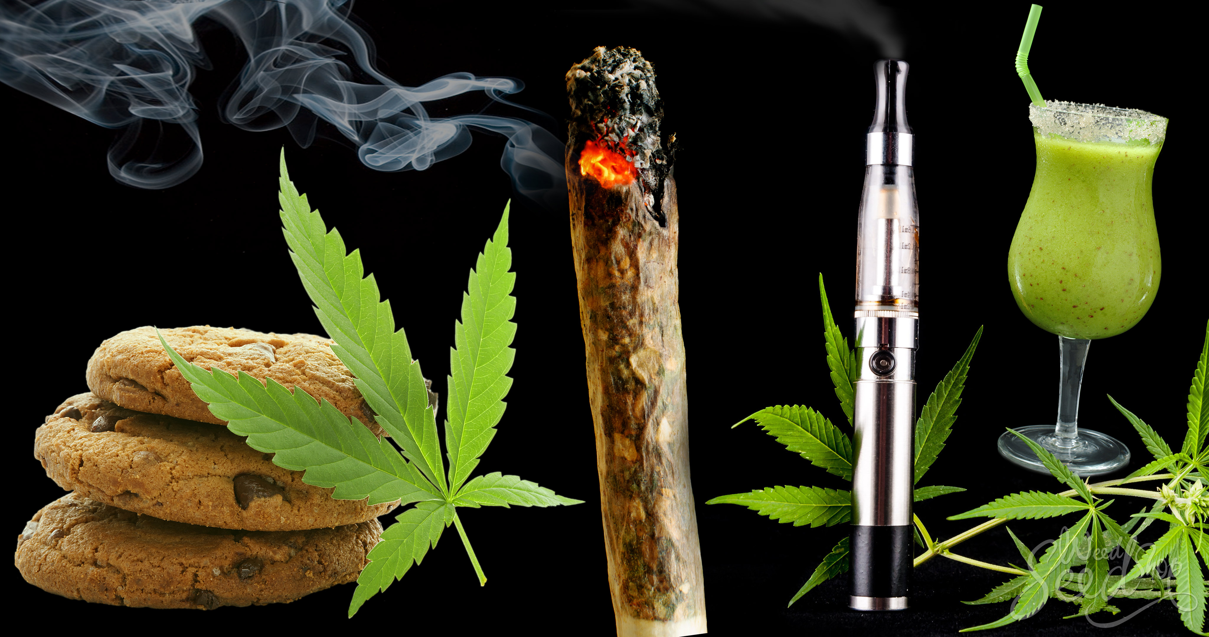 The Different Ways To Use Cannabis WeedSeedShop