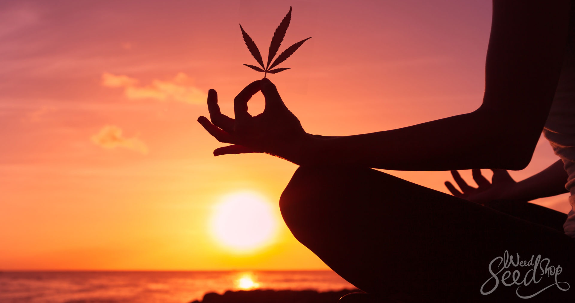 Best Ways to Combine Cannabis and Meditation - WeedSeedShop